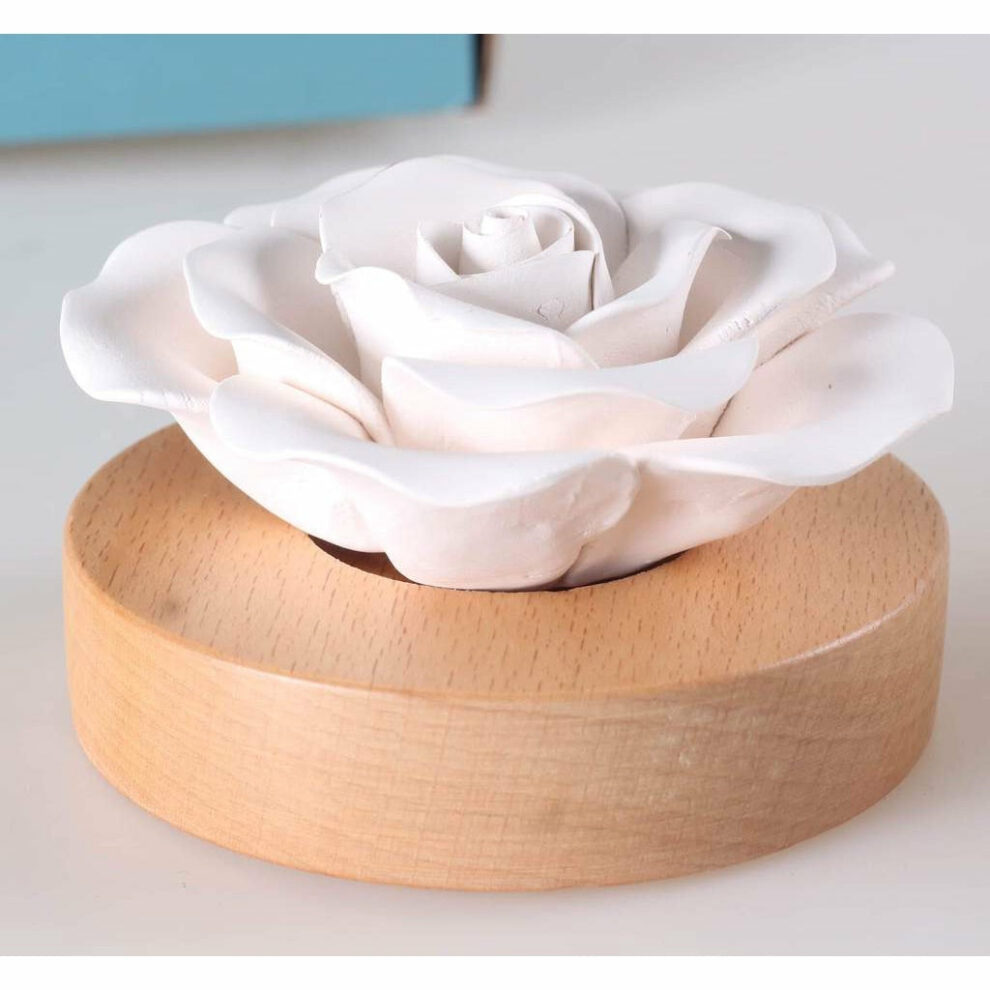 Passive Flower Diffuser with Solid Wood Base - Goodmart